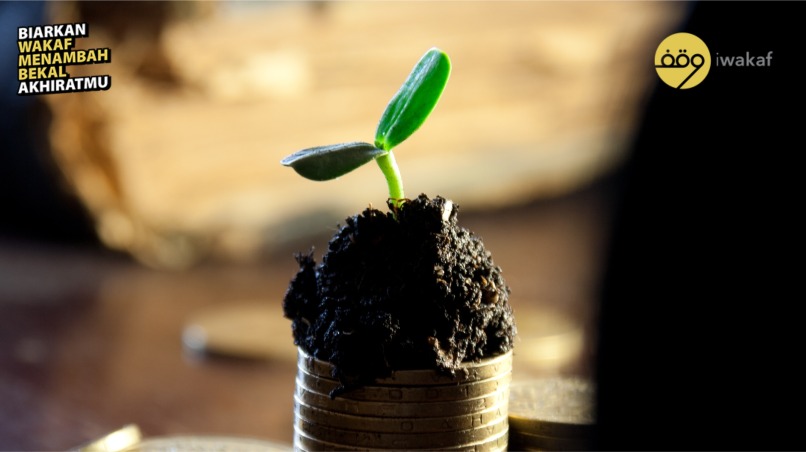 Rukun Dan Syarat Syarat Wakaf